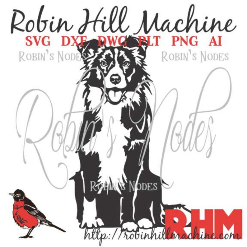 Border Collie Dog SVG File Detailed Vector for Laser and - Etsy