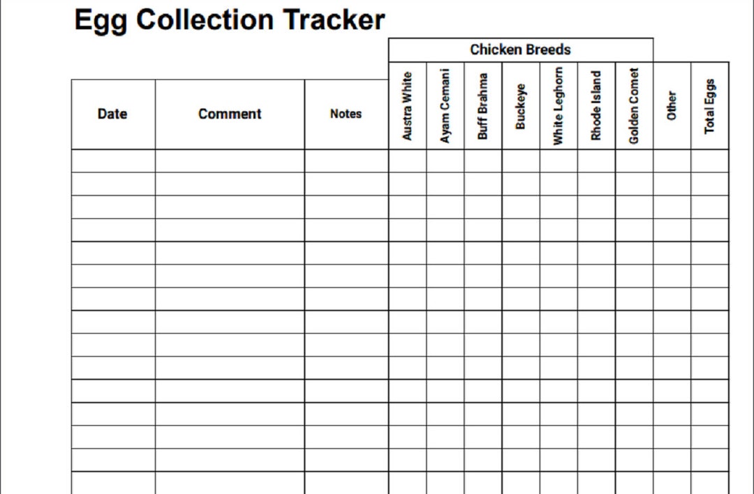 Egg Collection Tracker to Help Manage Your Egg Collection - Etsy