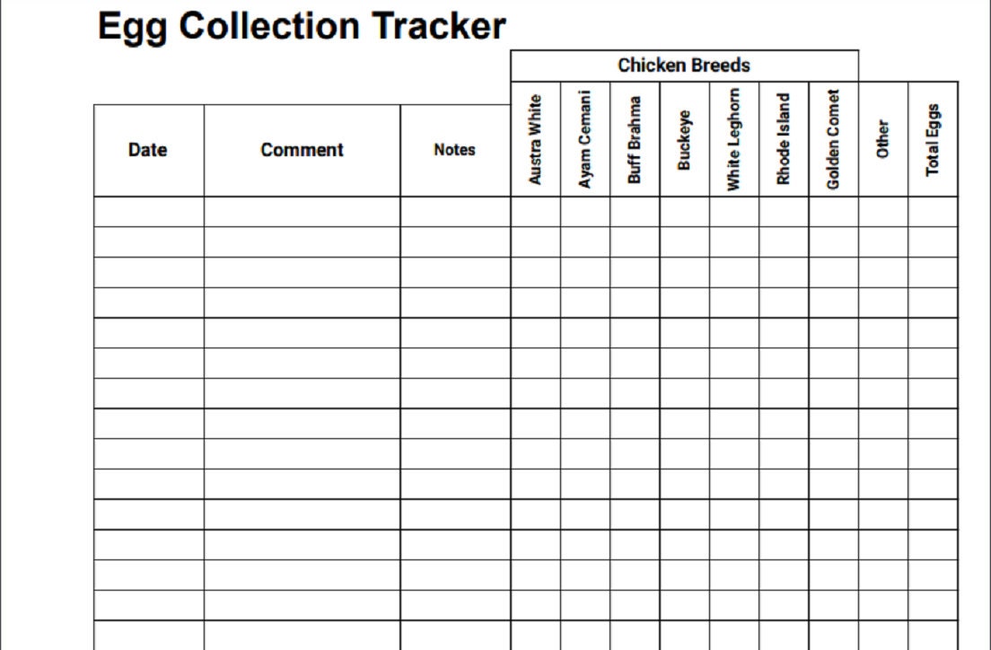 Egg Collection Tracker to Help Manage Your Egg Collection - Etsy