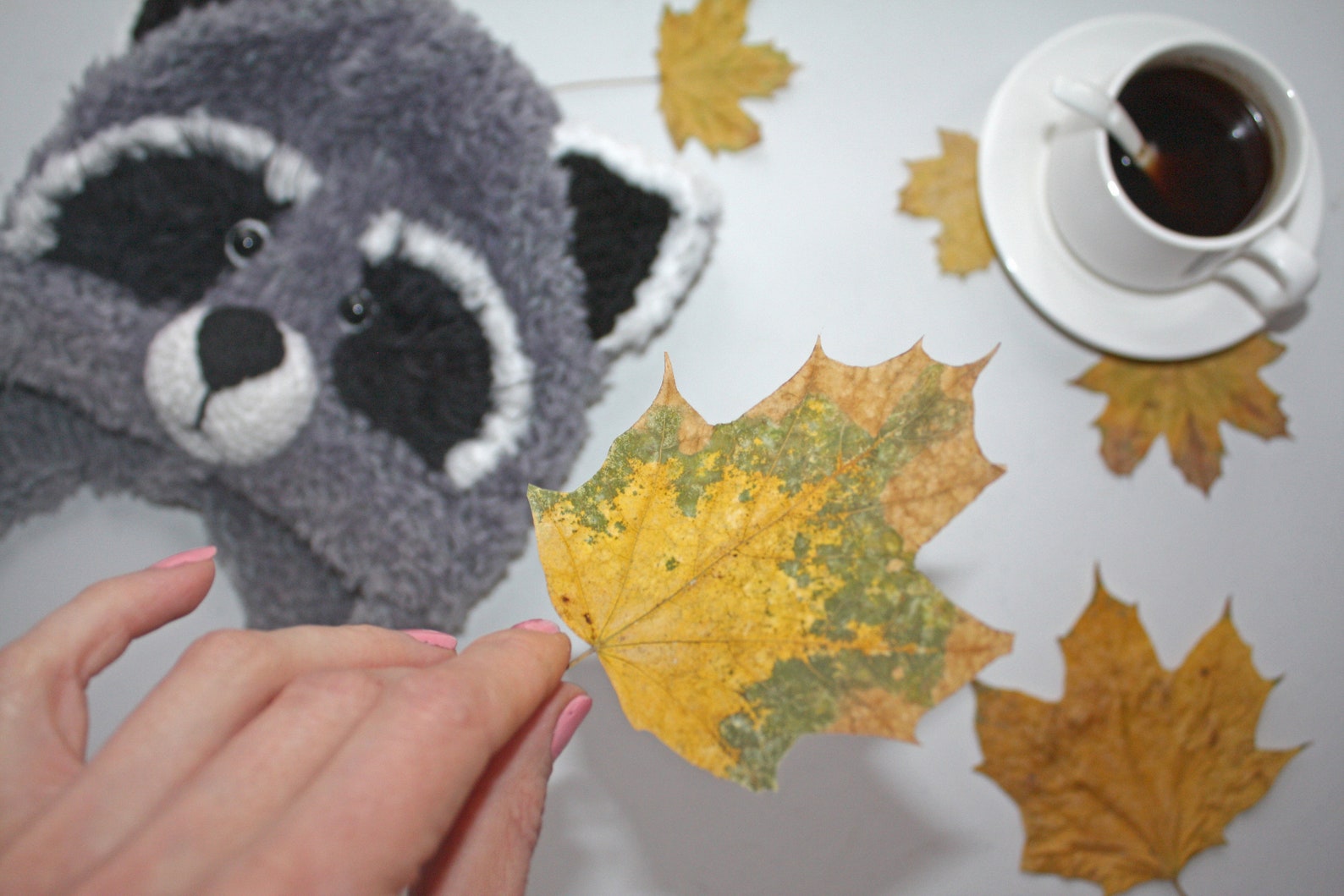 The Cozy Raccoon Hat Raccoon Hat Gift for Kids Gift for Teen - Etsy