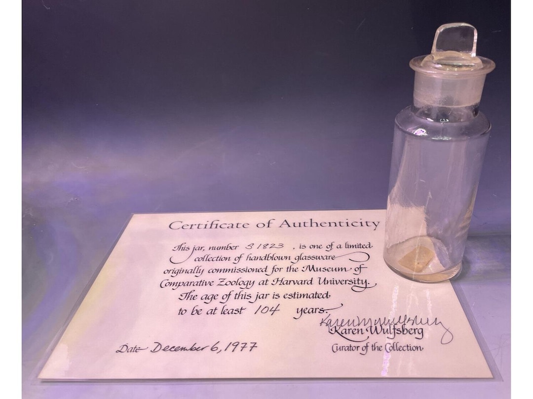 Antique 19th C. Louis Agassiz Harvard University W/coa Apothecary ...