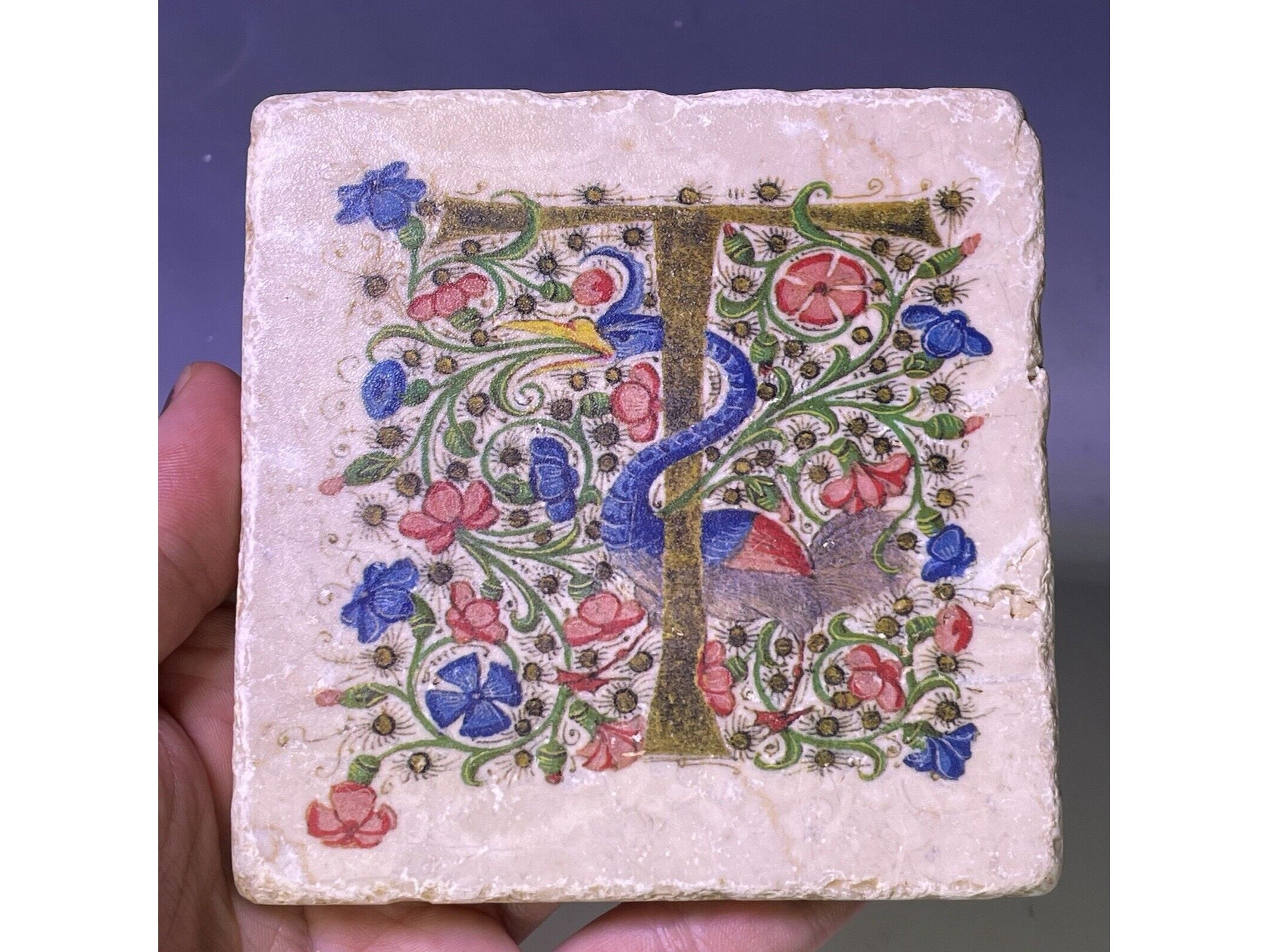 Vatican Illuminated Calligraphy Alphabet Letter 'T' - Etsy