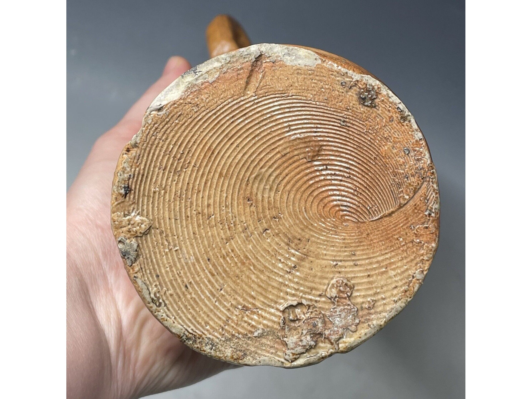 Ober Selters-nassau Germany Mineral Water Salt Glazed Antique 12 Bottle ...