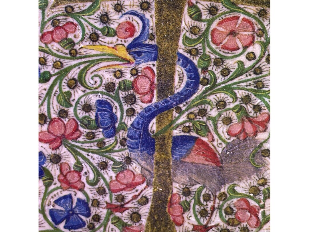 Vatican Illuminated Calligraphy Alphabet Letter 'T' Medieval Gothic ...