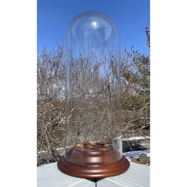 Large Glass Domes - Etsy