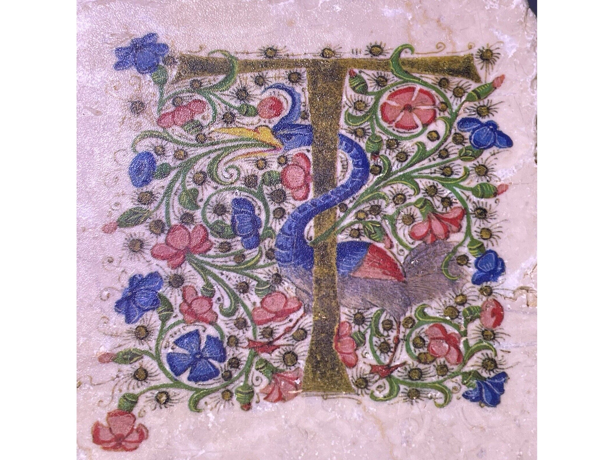 Vatican Illuminated Calligraphy Alphabet Letter 'T' - Etsy