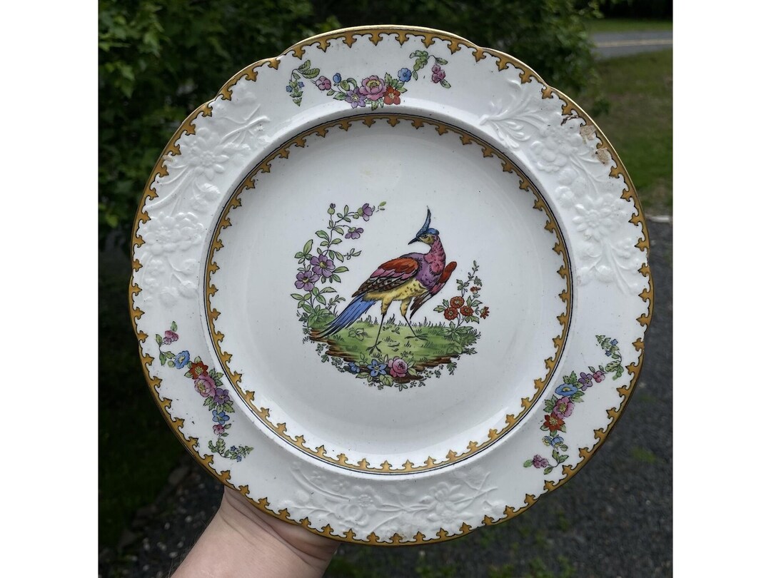 9" Antique Copeland Spode Vienna Bird Early 20th C. Plate Ceramic Wall ...