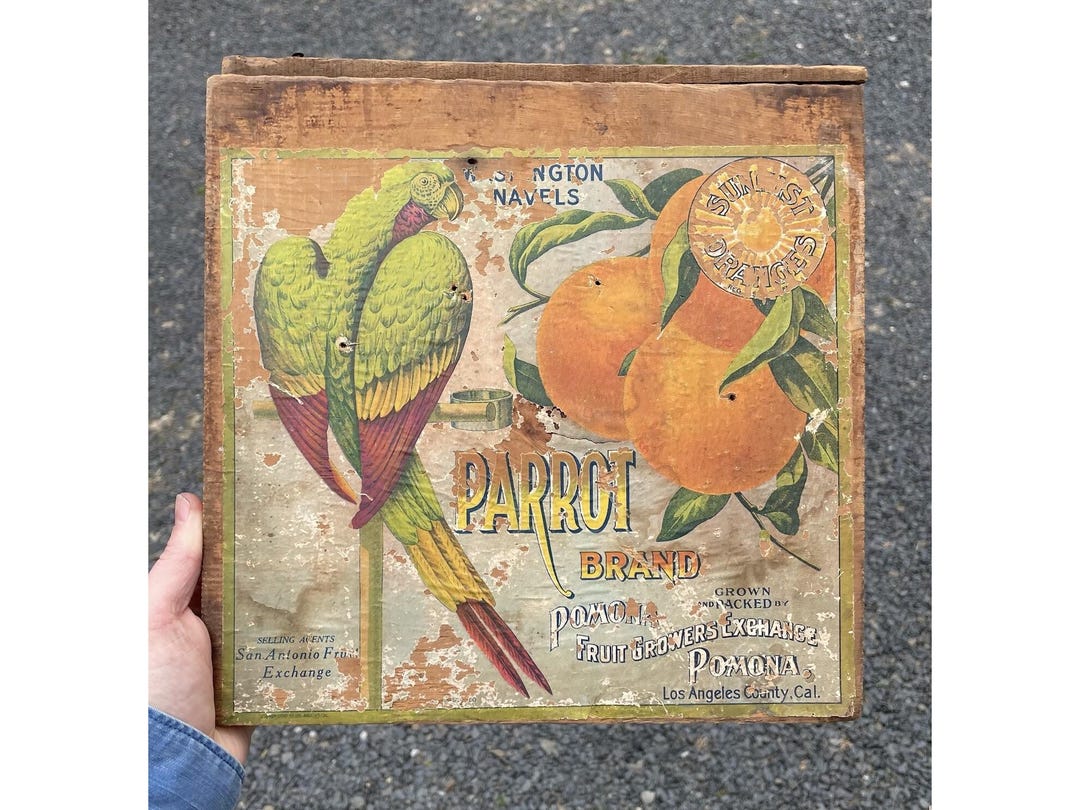RARE Antique Sunkist Parrot Brand Fruit Crate Orange Citrus Label ...