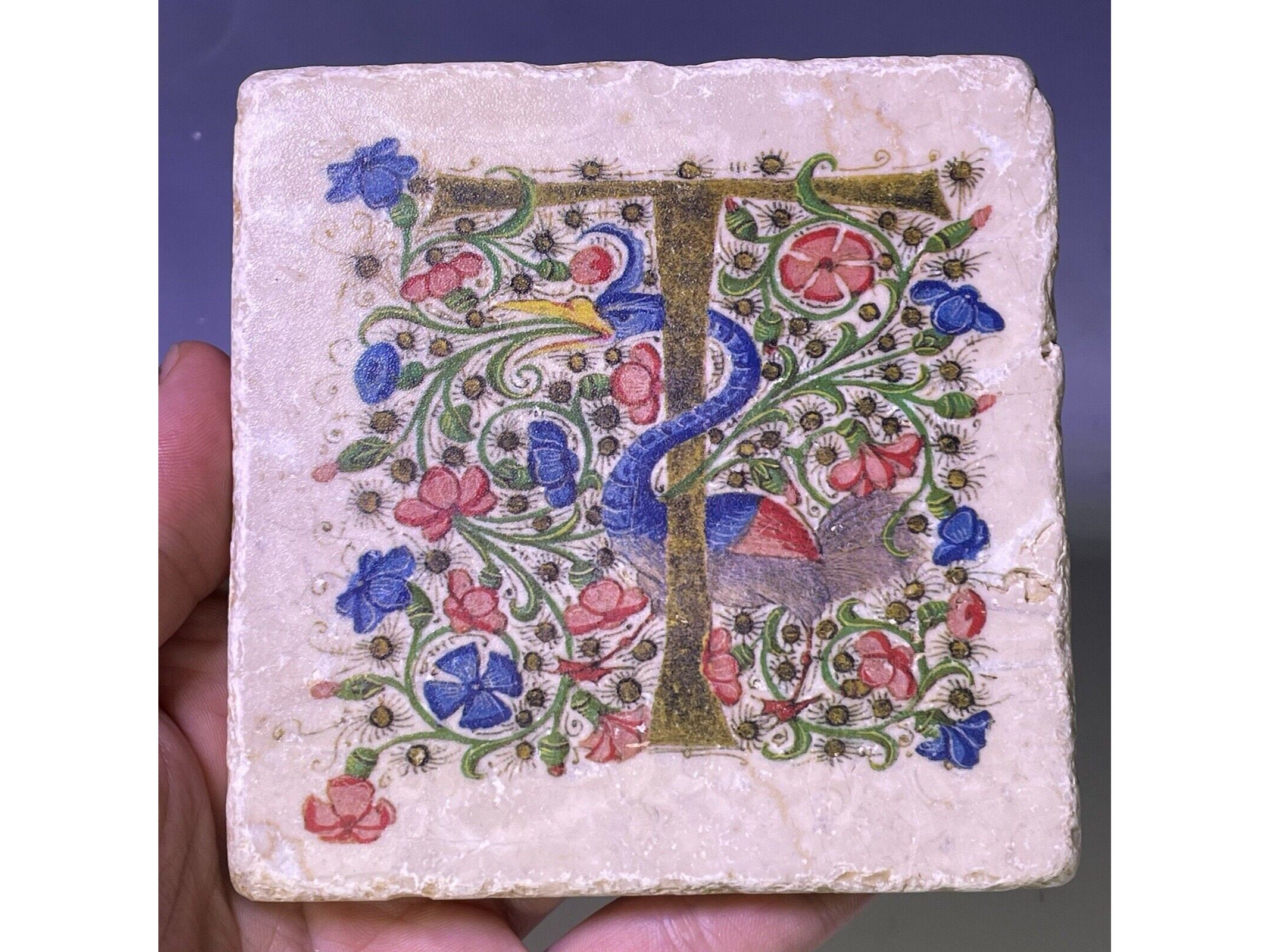 Vatican Illuminated Calligraphy Alphabet Letter 'T' - Etsy