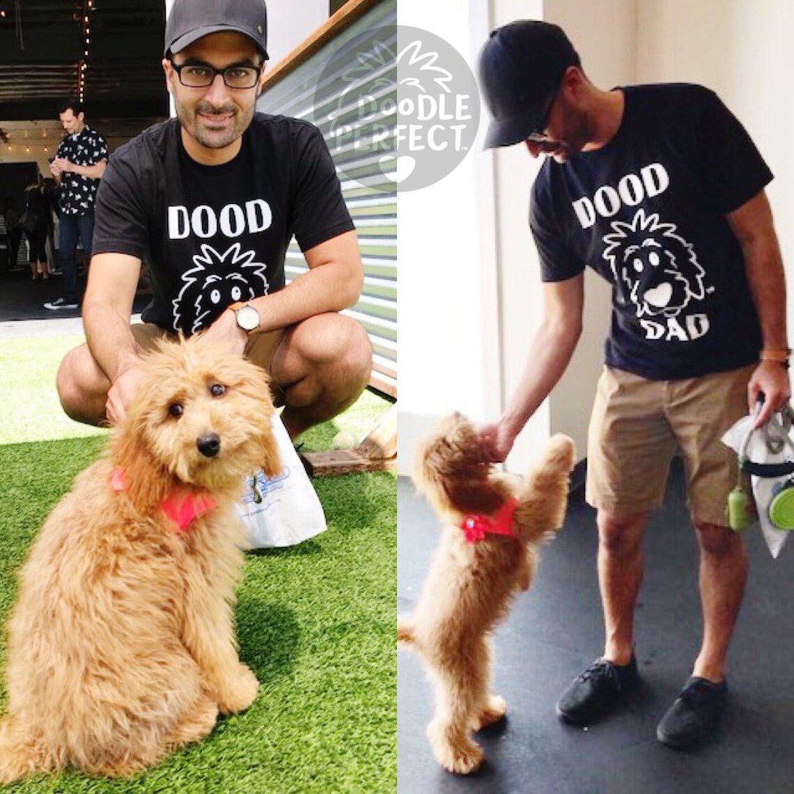 Dood Dad Shirts, Doodle Dad Shirt, Doodle Shirt, Doodle Sweatshirt ...