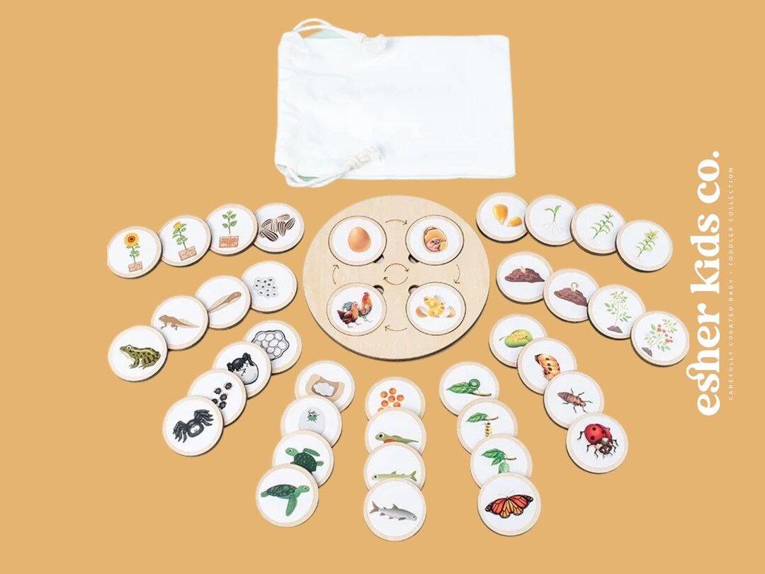 SHOP CLOSING BUNDLE Life Cycle Kit Montessori Homeschool Learning and ...