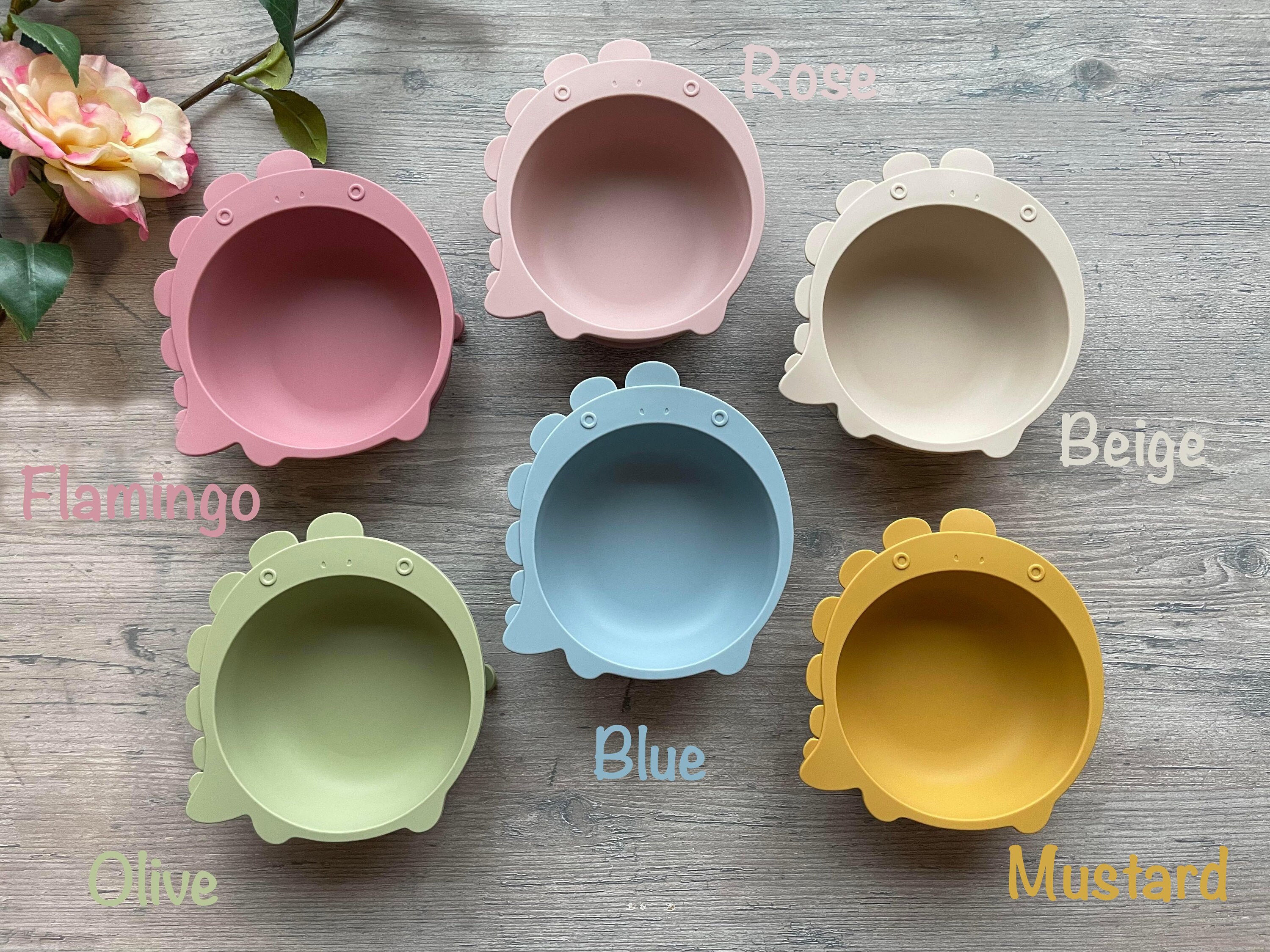 Dinosaur Suction Bottom Plate Set Set of 5 Silicone Suction - Etsy