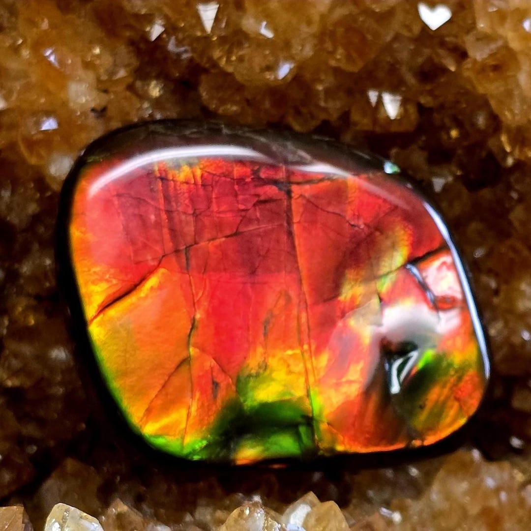 Canadian Ammolite Fossil, Free Form Rough Gemstone, Red Green Orange ...