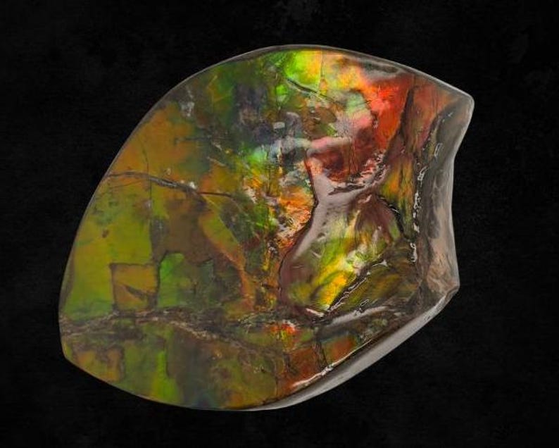 Ammolite Fossil Rough, Fan Shape. Flash Colors of Orange, Yellow, Green ...