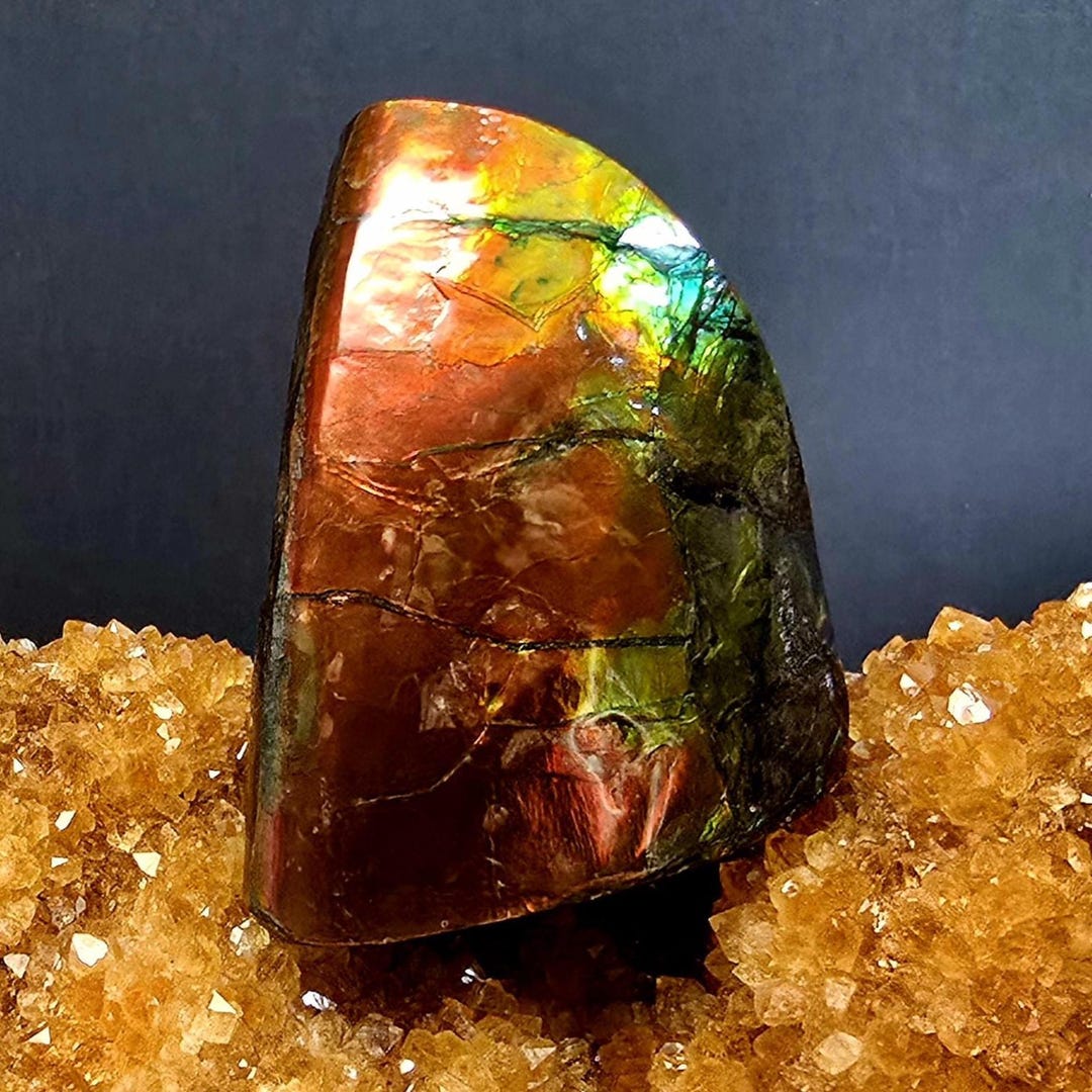 Ammolite/ammonite Fossil Rough Freeform With Flash Colors of Red, Green ...