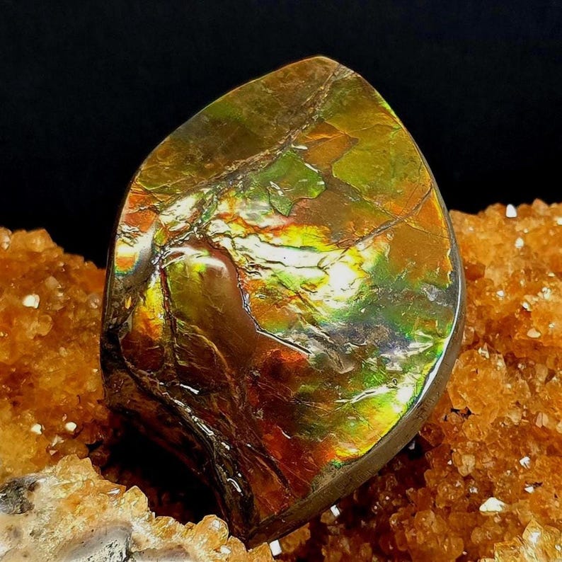 Ammolite Fossil Rough, Fan Shape. Flash Colors of Orange, Yellow, Green ...