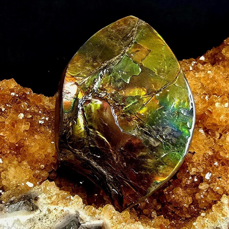 Ammolite Fossil Rough, Fan Shape. Flash Colors of Orange, Yellow, Green ...
