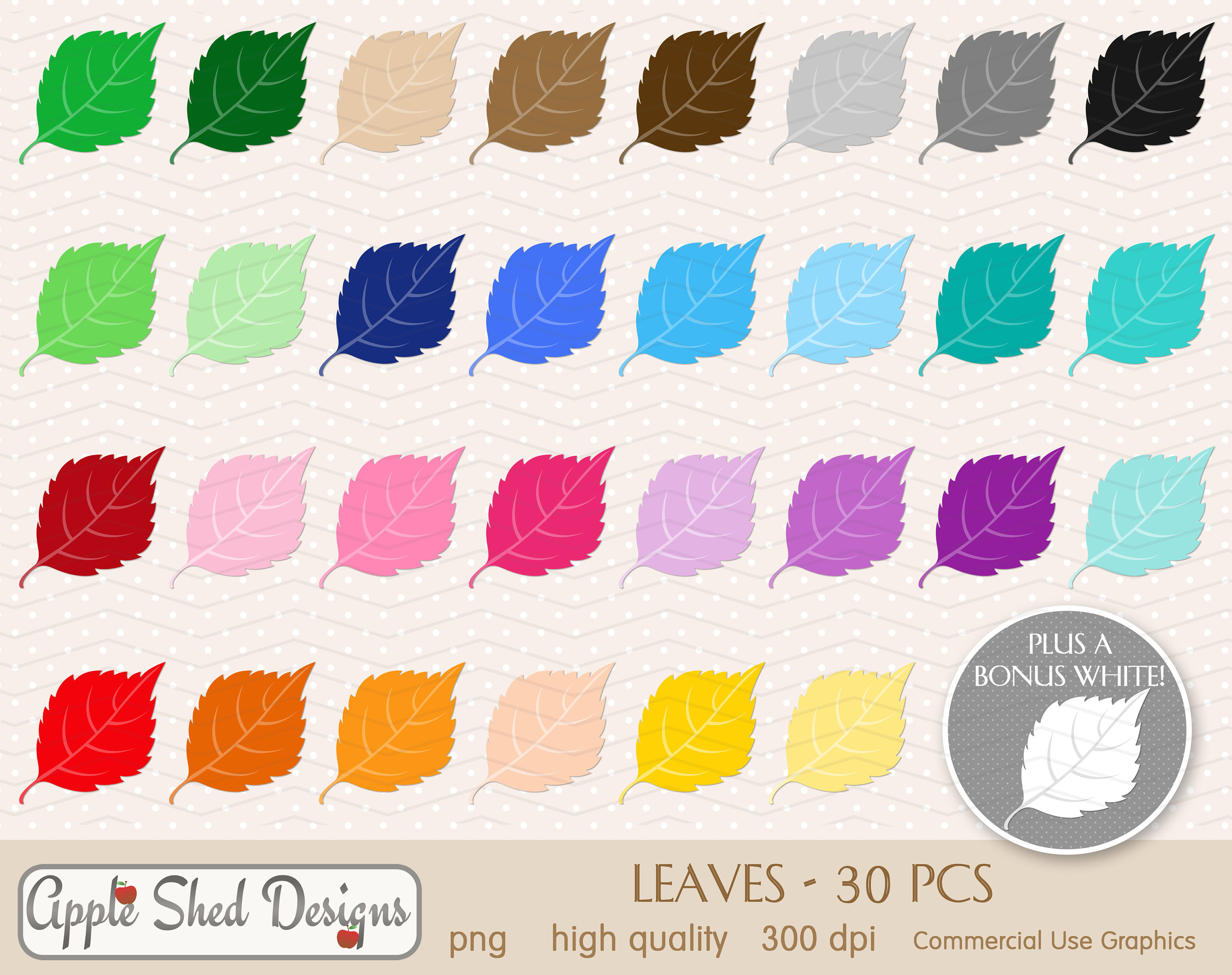 Birch Leaf Designs Clipart