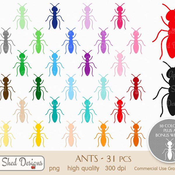 Insect Clip Art - Etsy