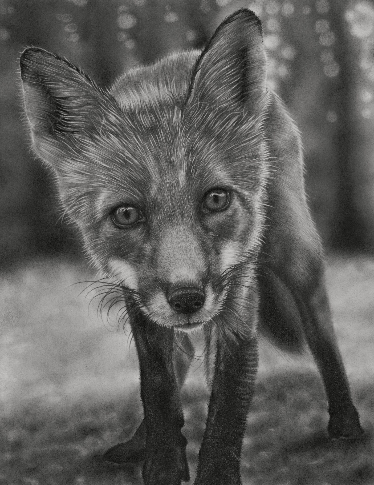 Red Fox - Art PRINT - Etsy