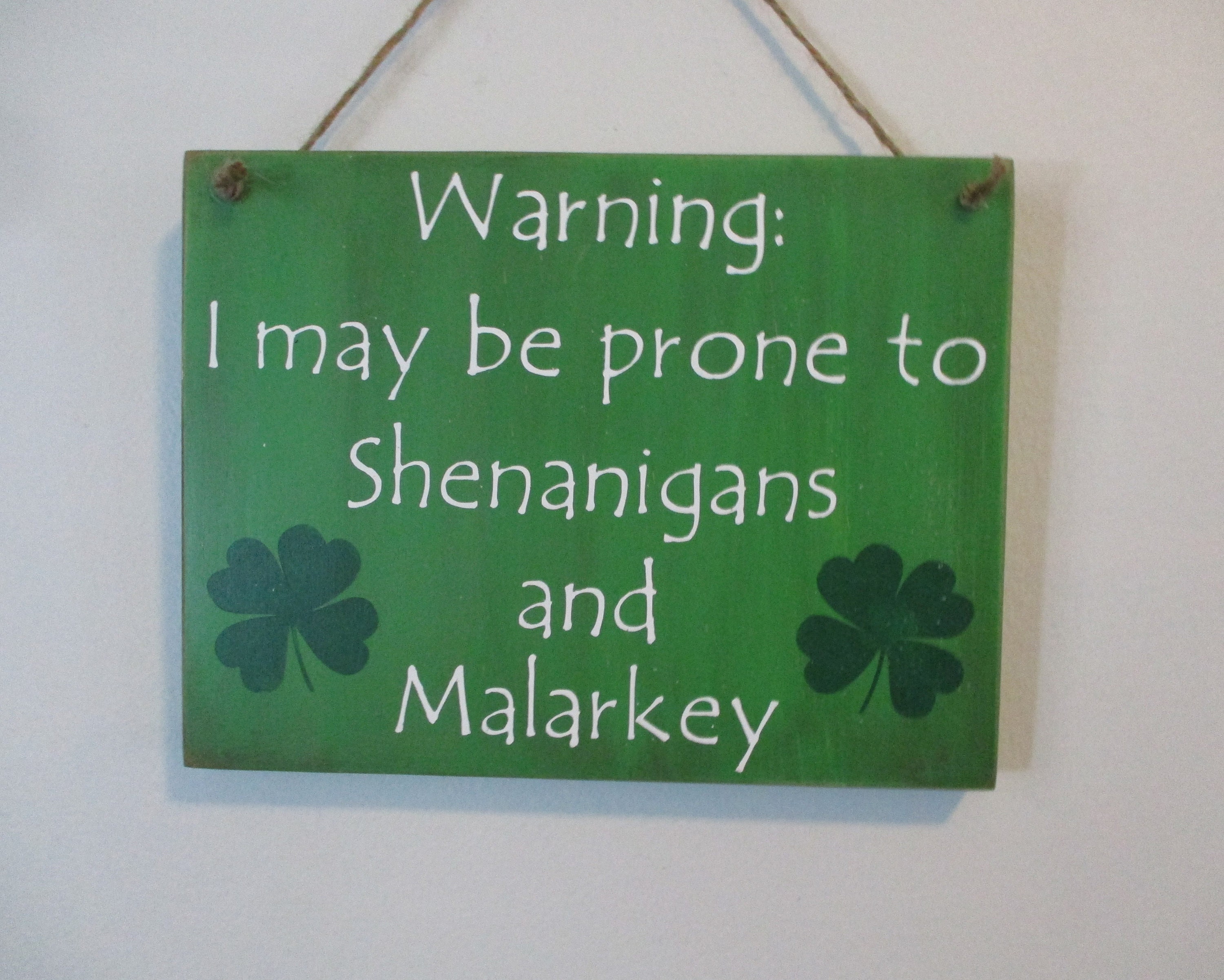 Warning I May Be Prone to Shenanigans and Malarkey Wood Irish - Etsy