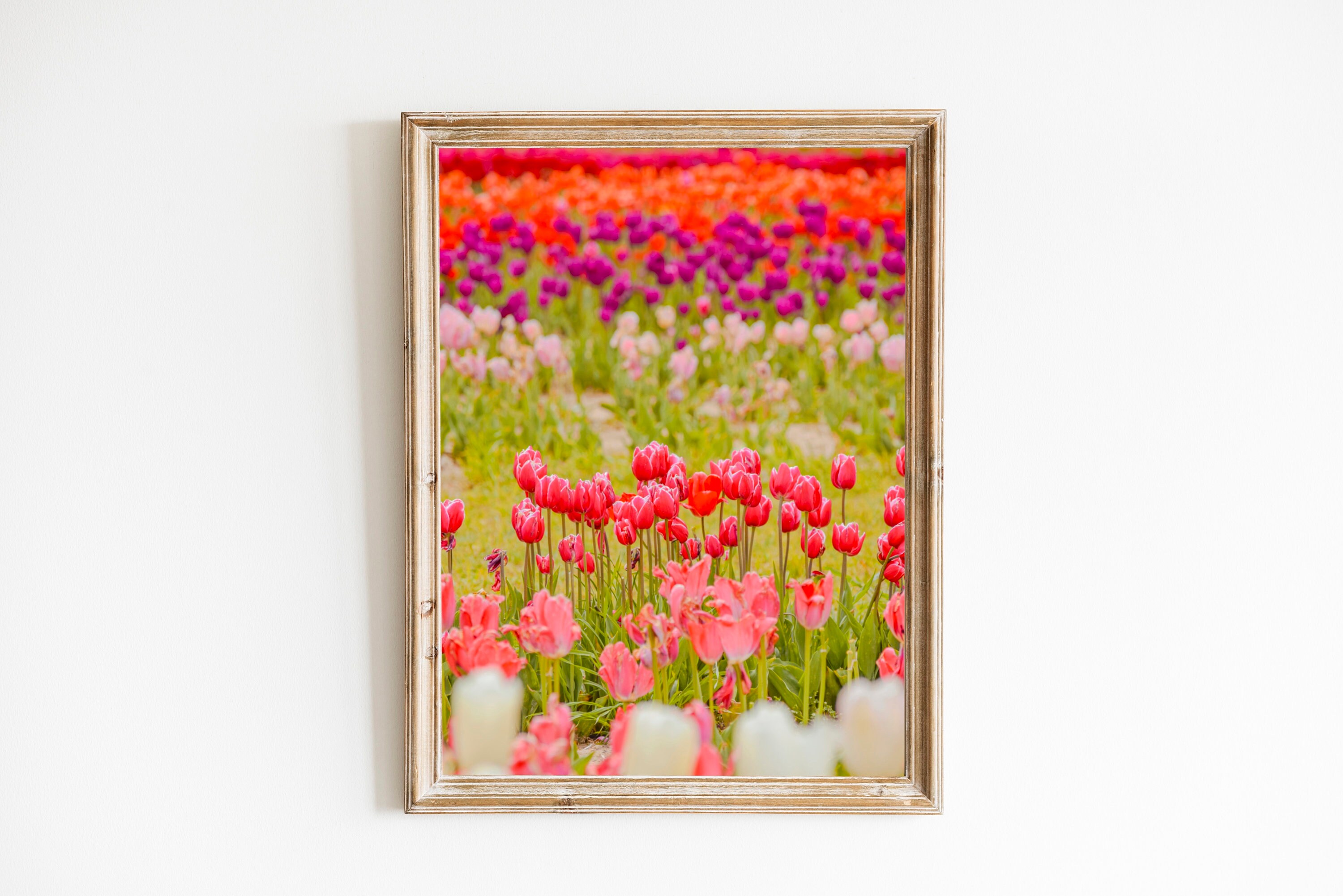 Tulip Print, Floral Wall Art, Pastel Art, Tulip Field, Pink Art ...
