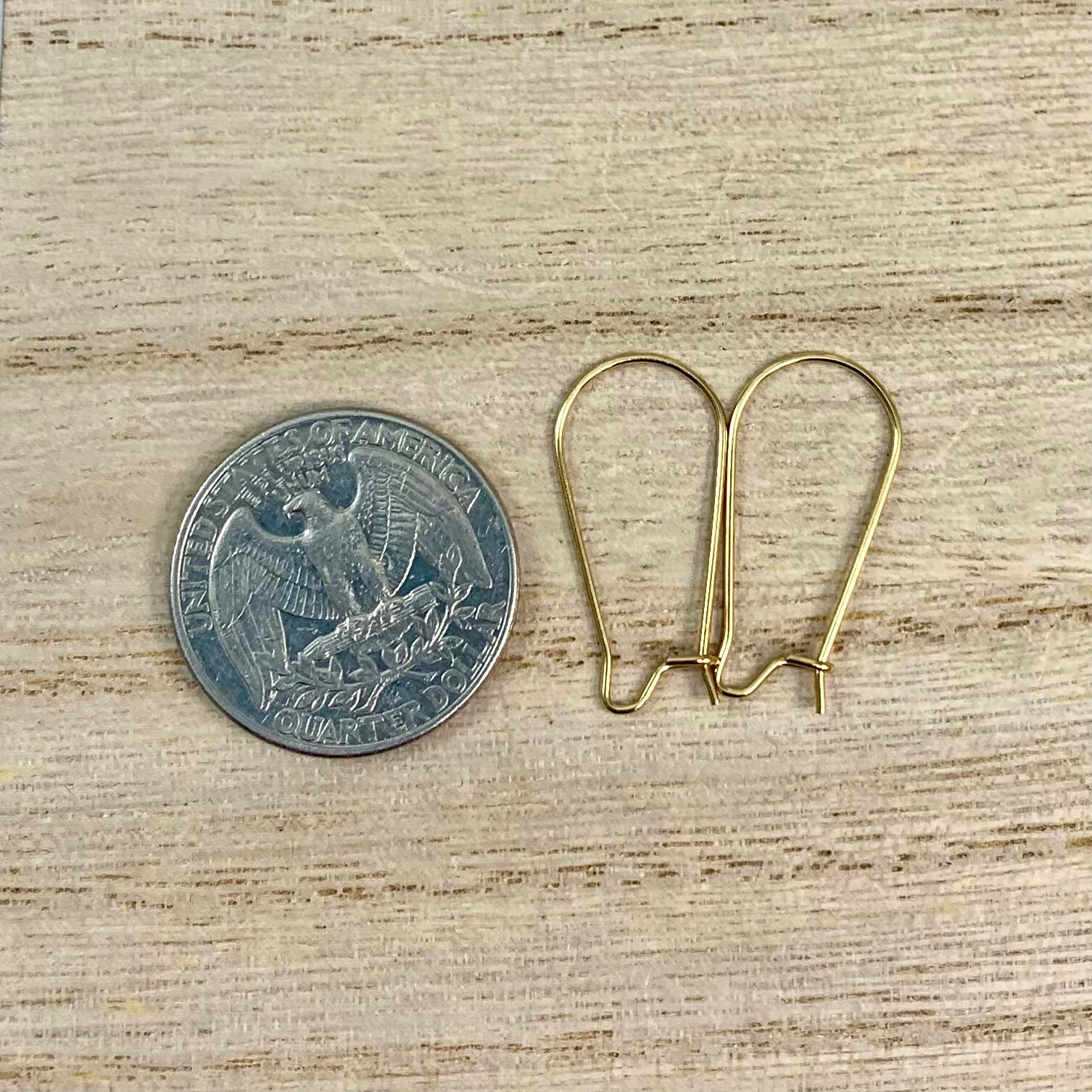 10 Pairs, Stainless Kidney Wires, Kidney Ear Wires, Surgical Stainless ...