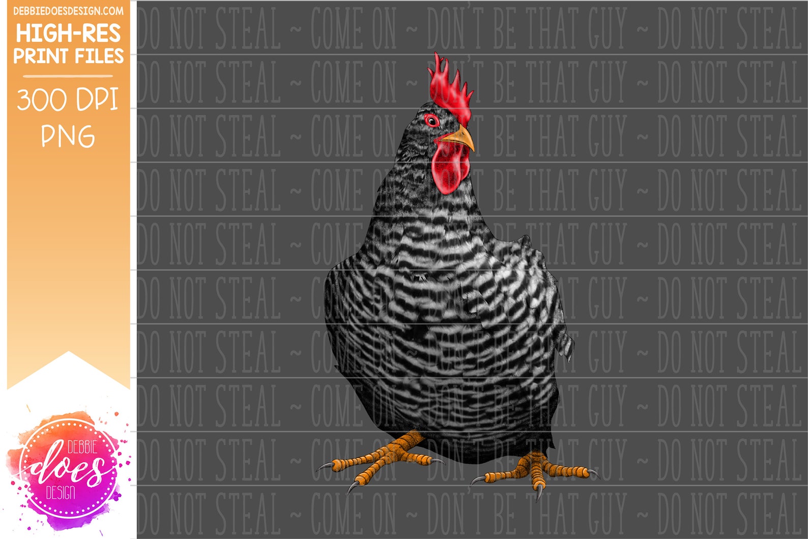 Hand Drawn Hen Barred Rock Hen B Sublimation/printable - Etsy