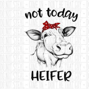 Not Today Heifer BW Hand Drawn Cow Print Instant Download Sublimation ...