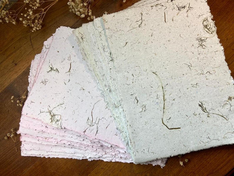 Pack of 10-20-30-40 Handmade Recycled Paper With Chamomile Leaves and ...