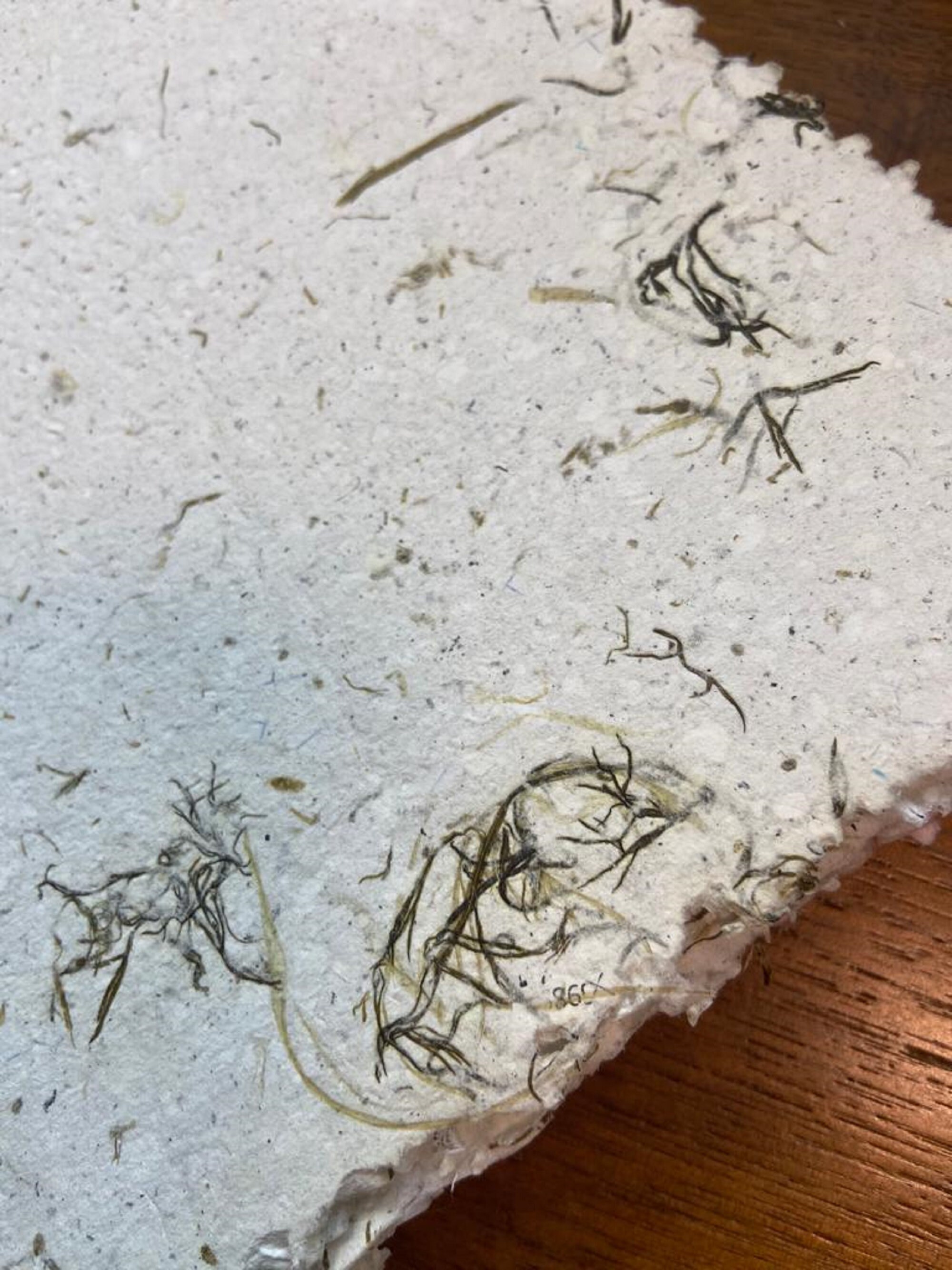Pack of 10-20-30-40 Handmade Recycled Paper With Chamomile Leaves and ...