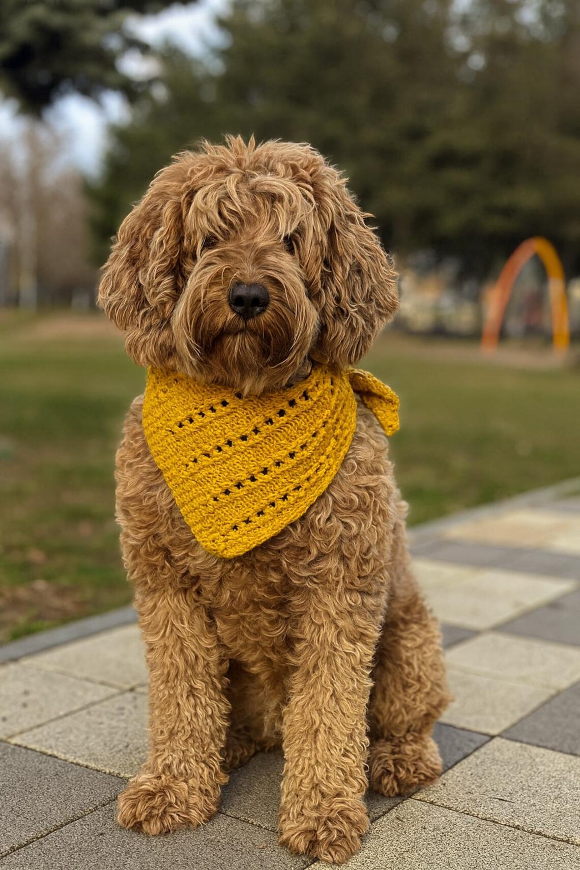 PDF Dog Bandana-knitting Bandana Pdf-knitting Patter for Yarn Weight 4 ...