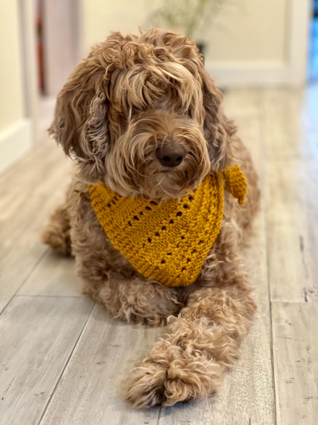 PDF Dog Bandana-knitting Bandana Pdf-knitting Patter for Yarn Weight 4 ...