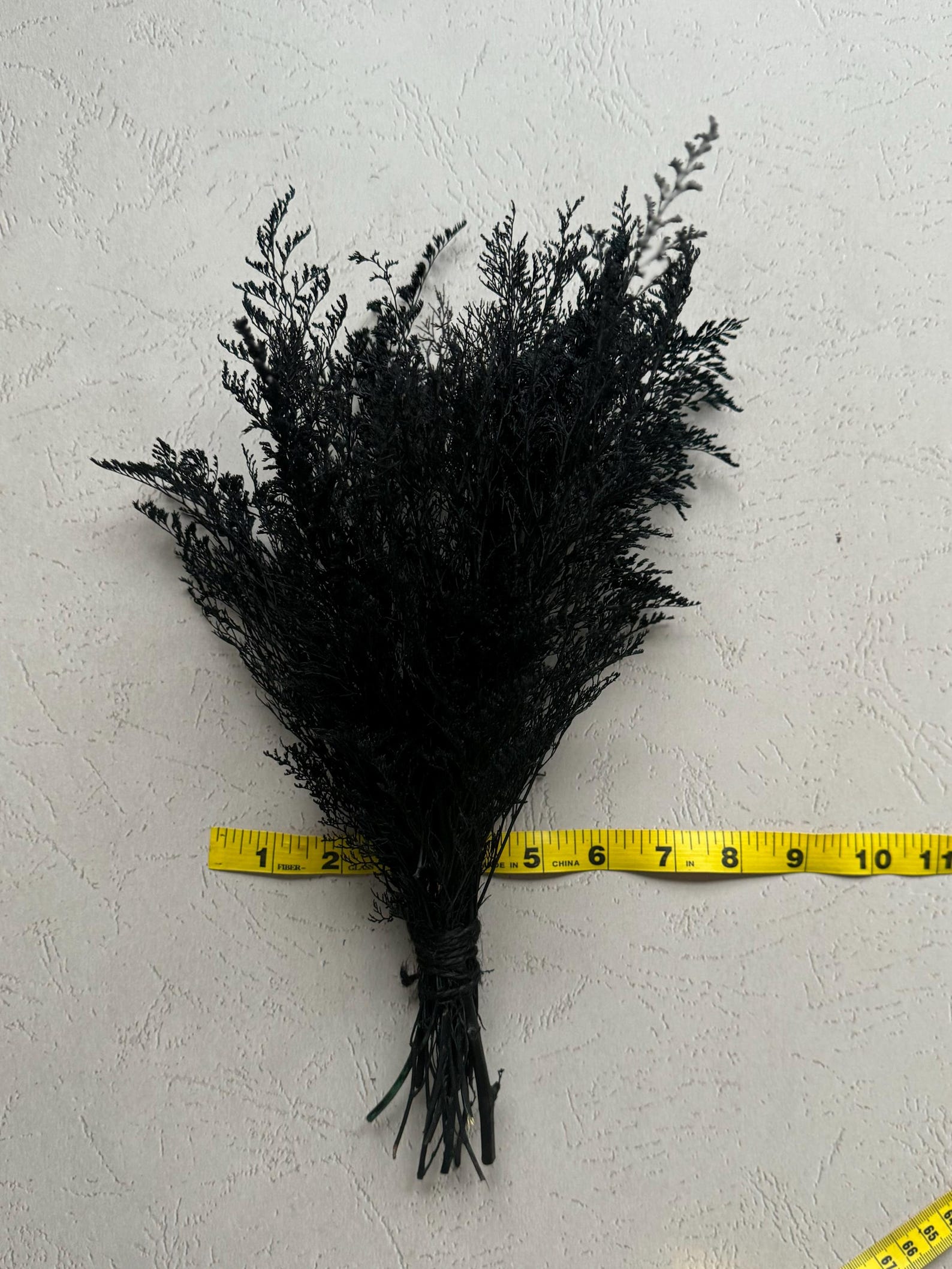 Black Preserved Caspia-black Dried Flowers-preserved Caspia - Etsy
