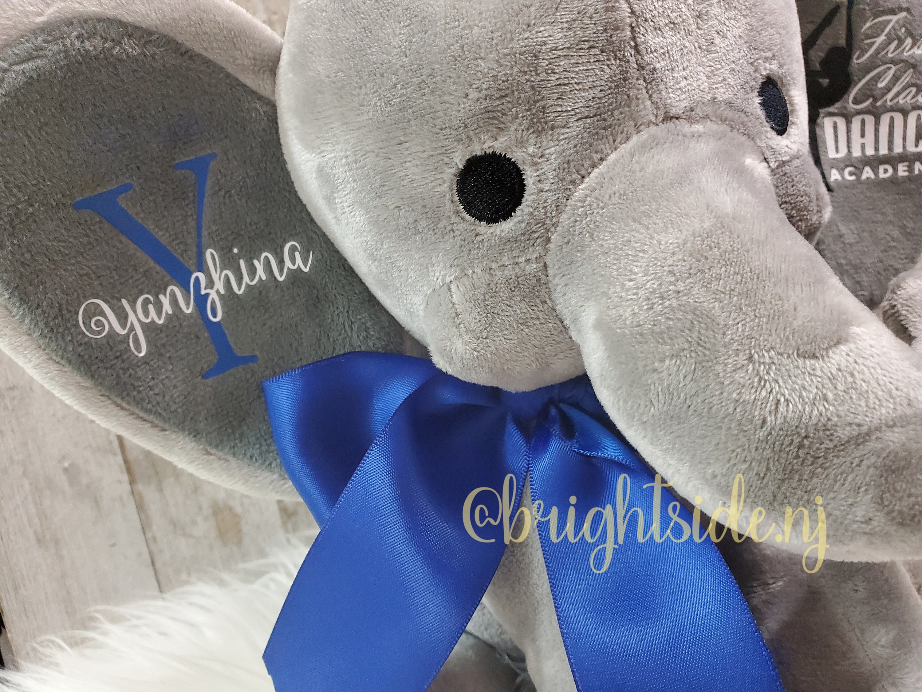 Personalized Team Spirit Elephant - Big Little Gift - Dance Cheer ...