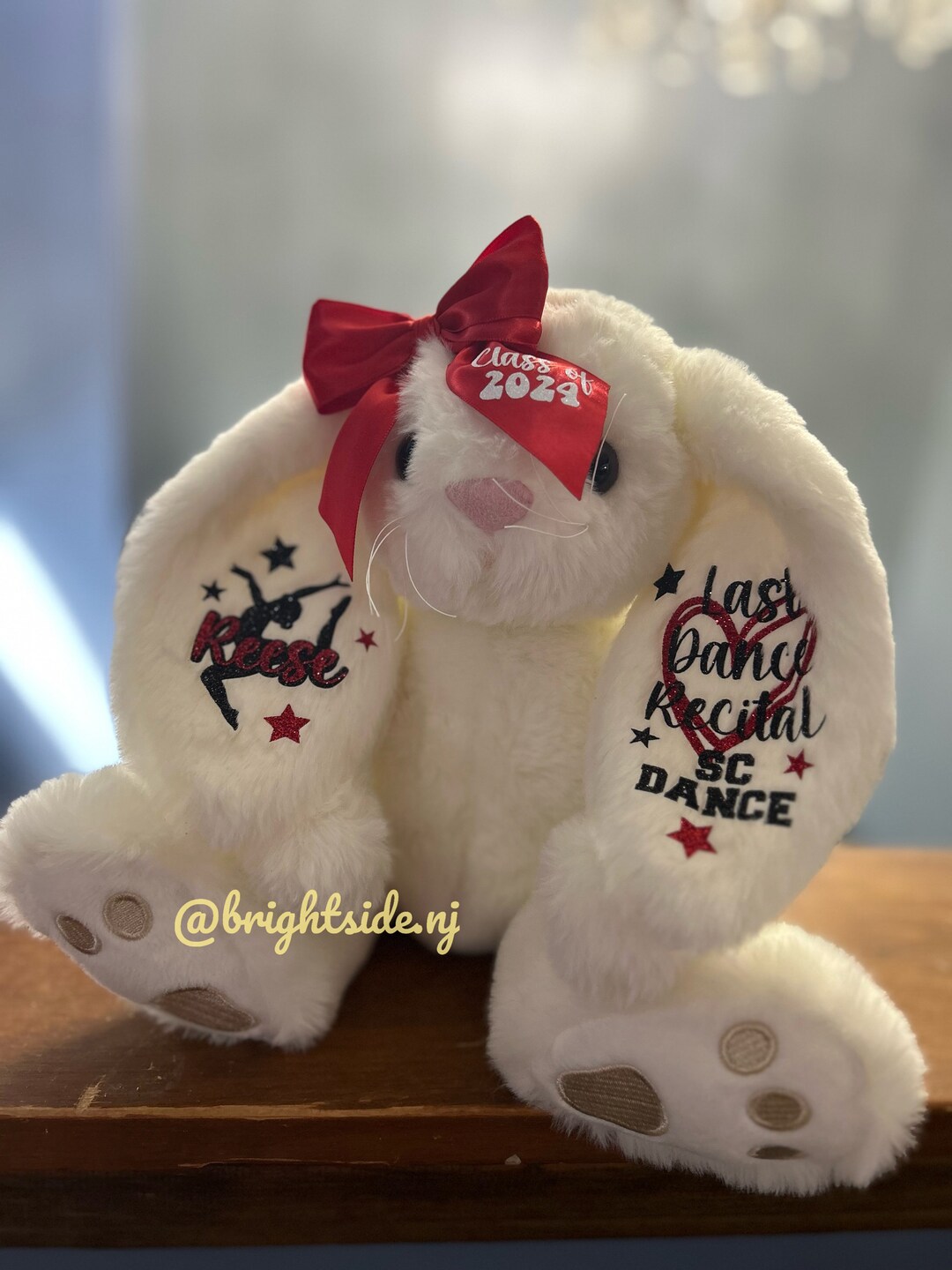 Dance - Team Spirit Bunny - Big Little Gift - Senior - Coach - Plush ...