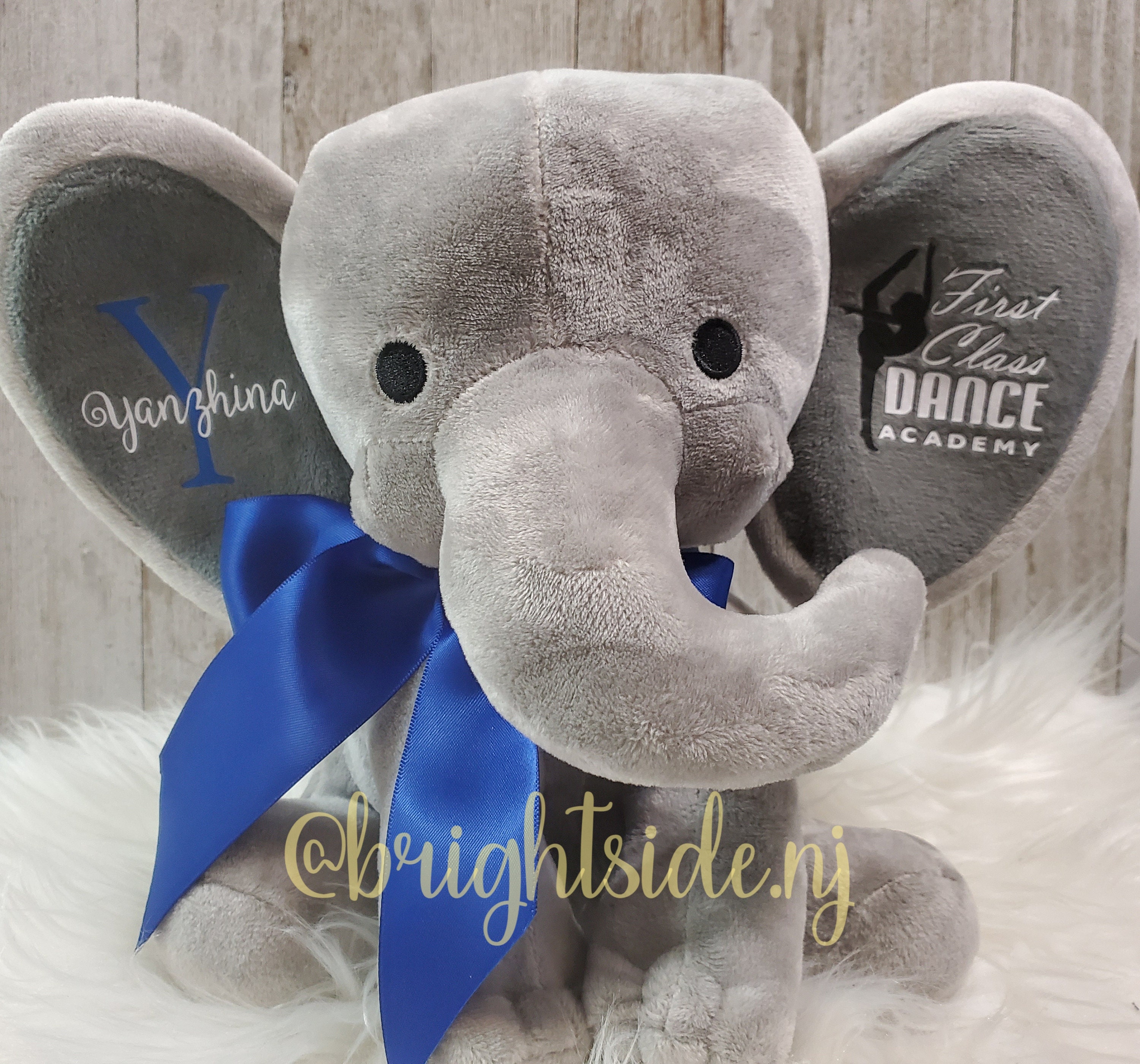 Personalized Team Spirit Elephant - Big Little Gift - Dance Cheer ...