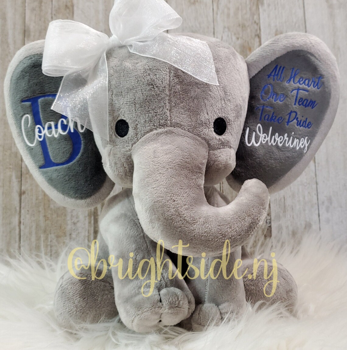 Personalized Team Spirit Elephant - Big Little Gift - Dance Cheer ...