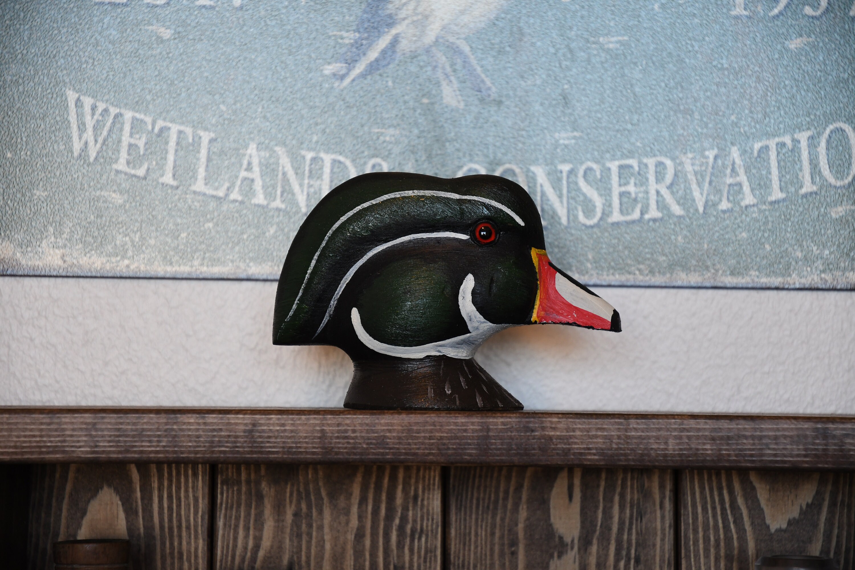 Duck Call Display Case - Etsy