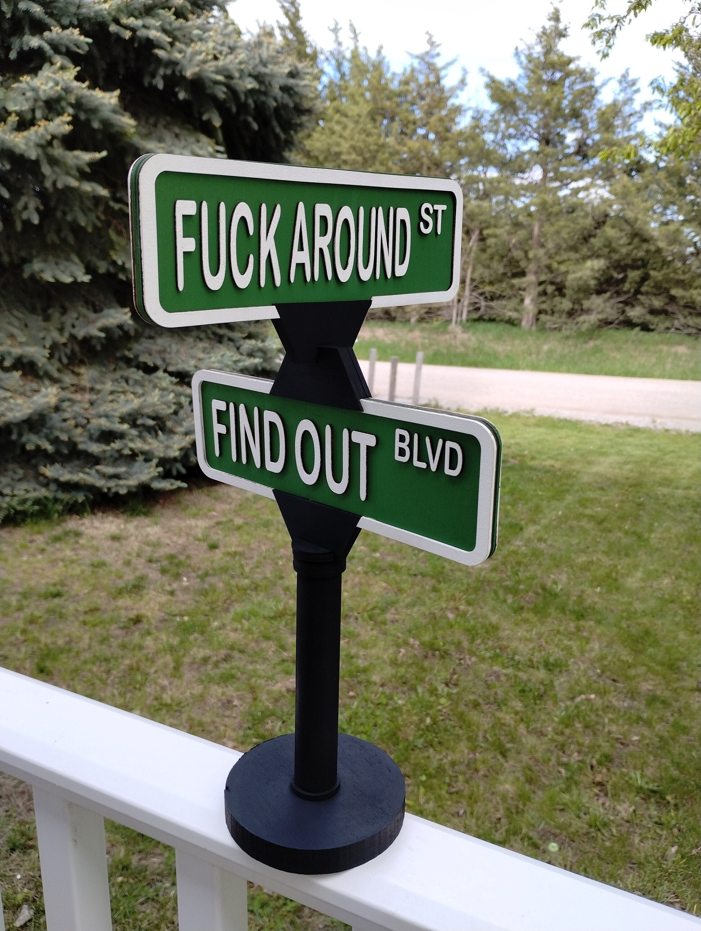 Fuck Around Find Out Street Sign - Etsy