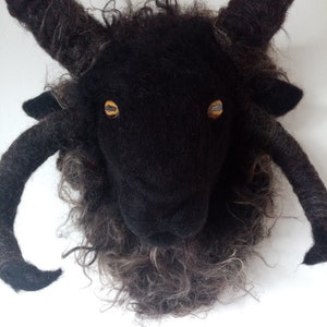 Realistic Life-size Faux Taxidermy Hebridean Sheep Bust - Etsy