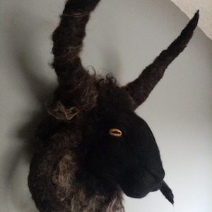 Realistic Life-size Faux Taxidermy Hebridean Sheep Bust - Etsy