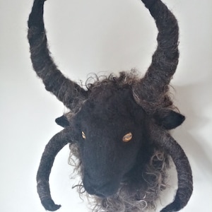 Realistic Life-size Faux Taxidermy Hebridean Sheep Bust - Etsy