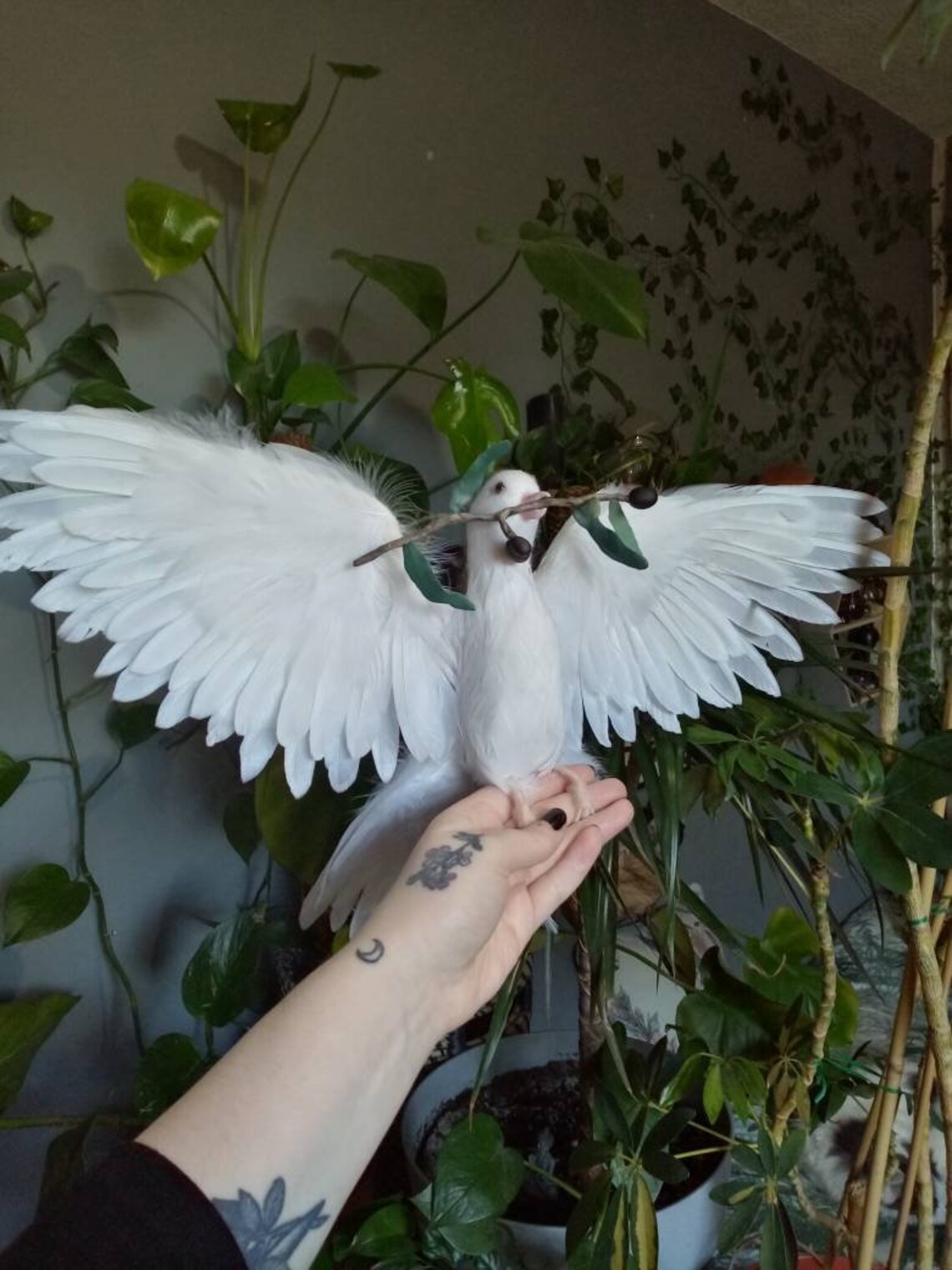 Dove - Etsy