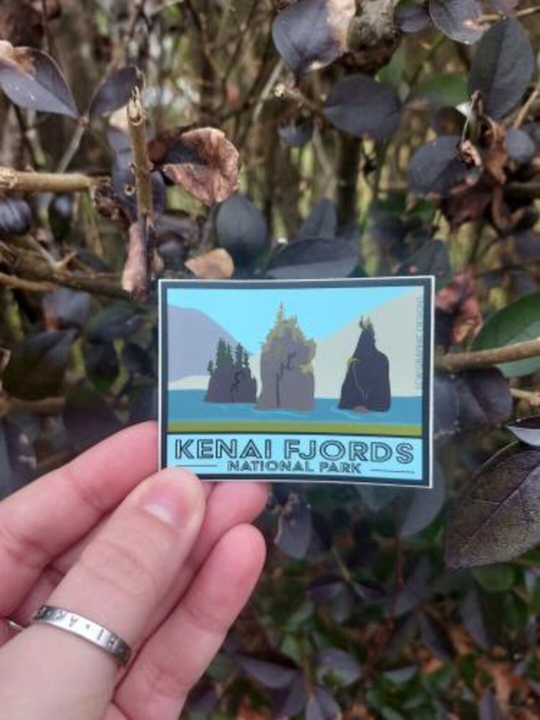 Kenai Fjords Sticker - Spire Cove - Alaska - National Park Vinyl ...