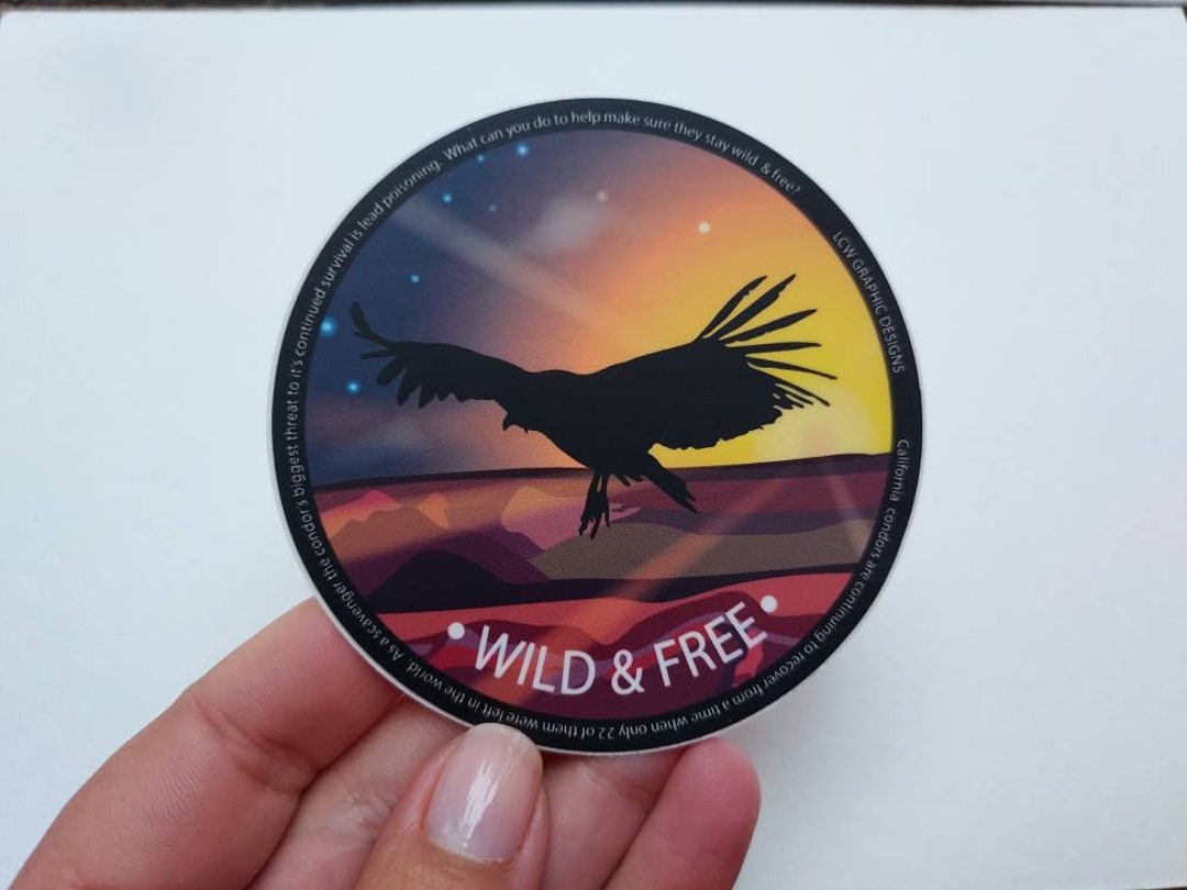 Condor Bird Sticker, Wild & Free Vinyl Sticker for California Condor - Etsy