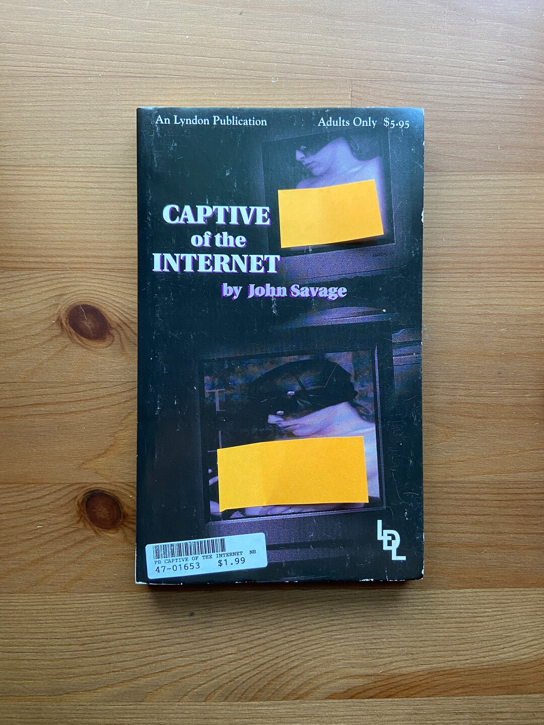 VERY RARE, Vintage 1998 Paperback Captive of the Internet by John ...