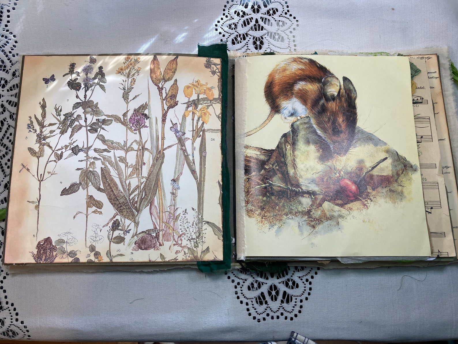 Field Notes Forest Journal - Etsy