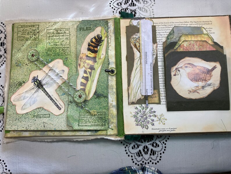 Field Notes Forest Journal - Etsy