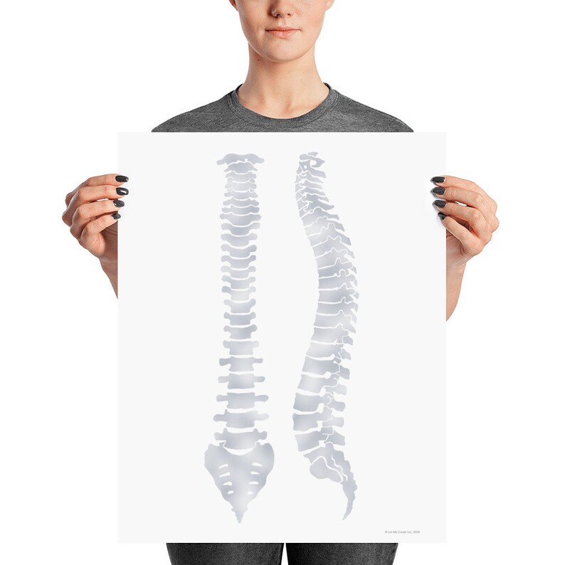 Spine Poster Chiropractic Chiropractor Chiropractic Office - Etsy
